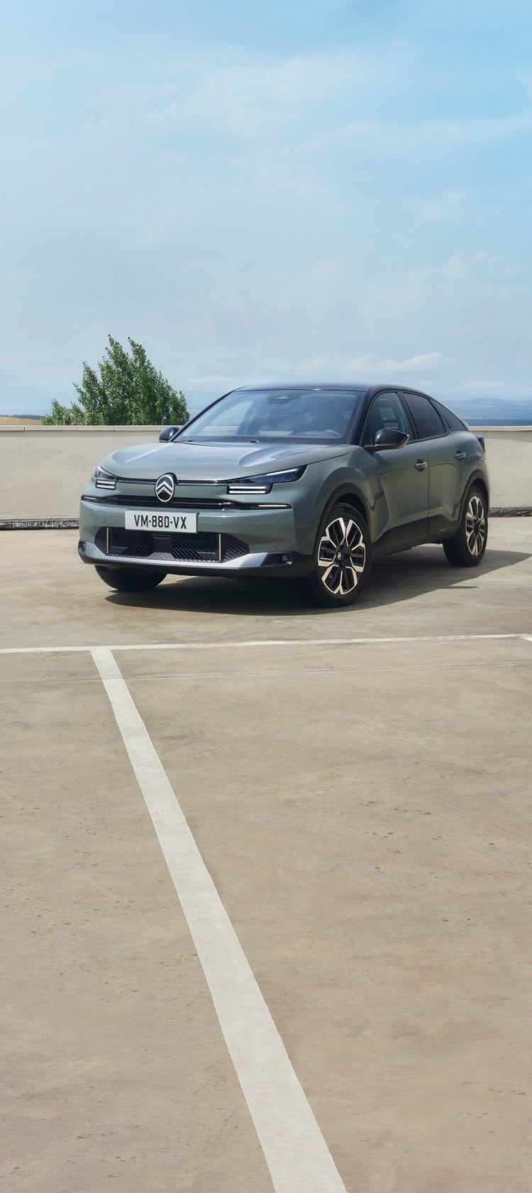 Osobna vozila | Gospodarska vozila | Citroën